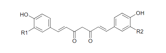 E100 - Curcumin - InfoCons