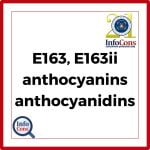 E163 and E163ii - anthocyanins and anthocyanidins - InfoCons
